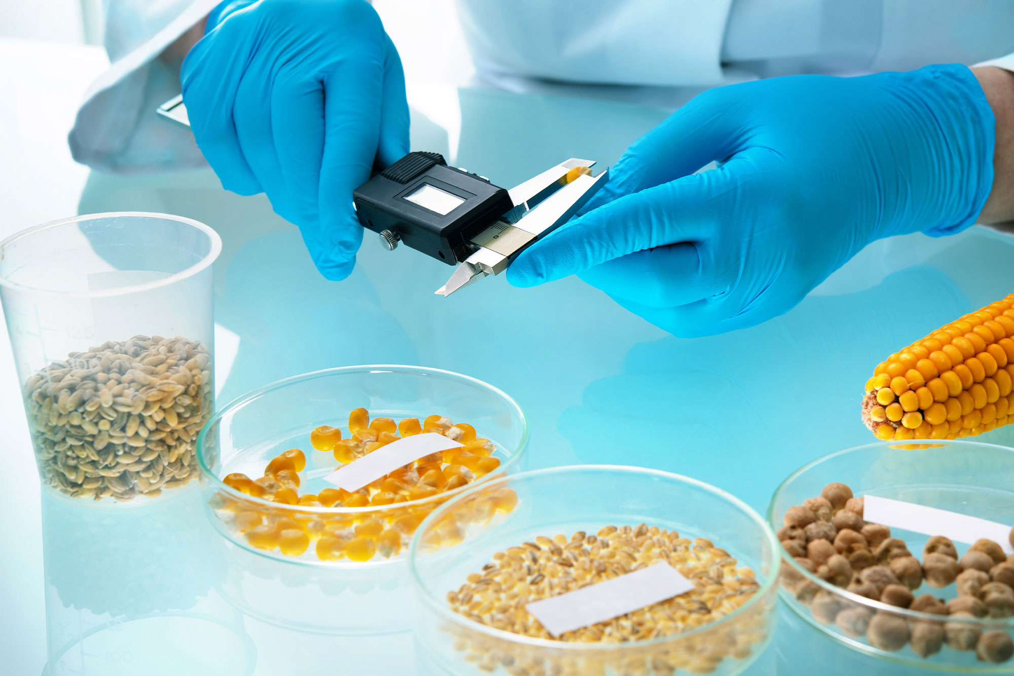Analytical Facility - Mukhtar Feeds